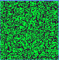 GitHub - mariotoledo/cellular-automata-map-generation: A Cellular ...